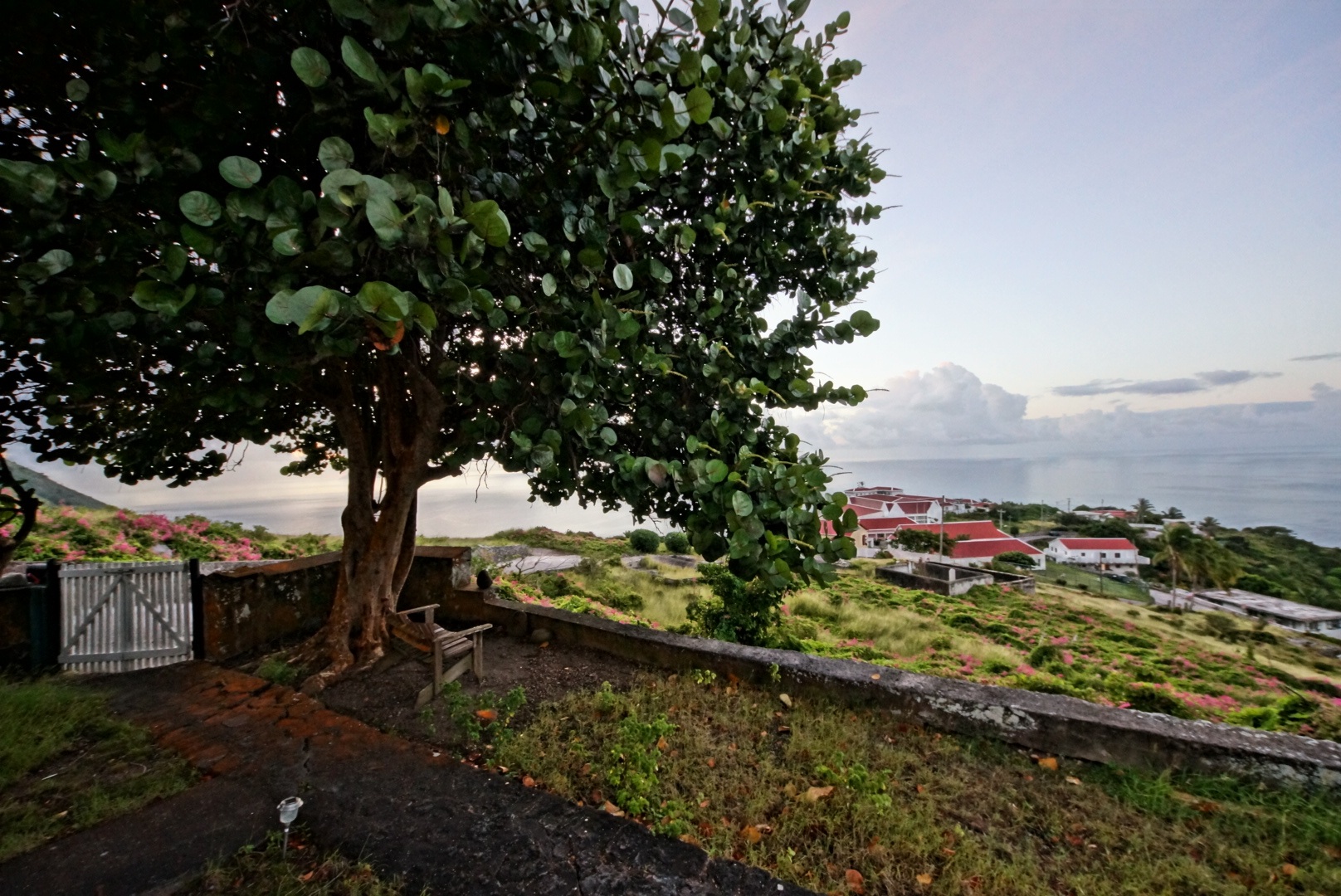 Saba Photo Gallery (So Far) – A Tangled Mind In Motion